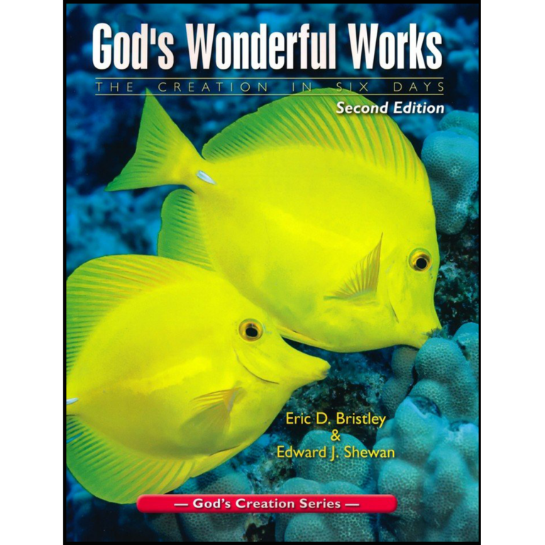God's Wonderful Works - WinterPromise