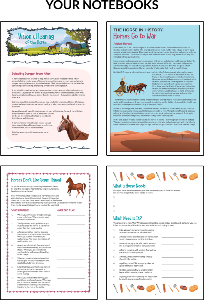 Equine Science - WinterPromise